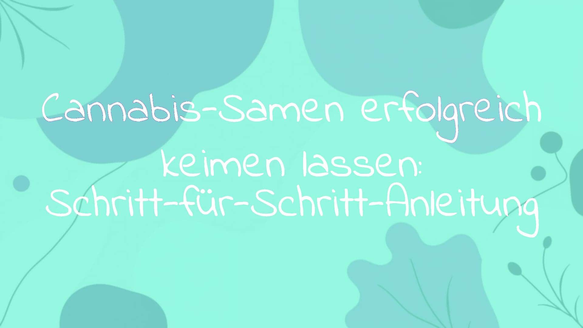 Cannabis-Samen erfolgreich keimen lassen: Schritt-für-Schritt-Anleitung ...