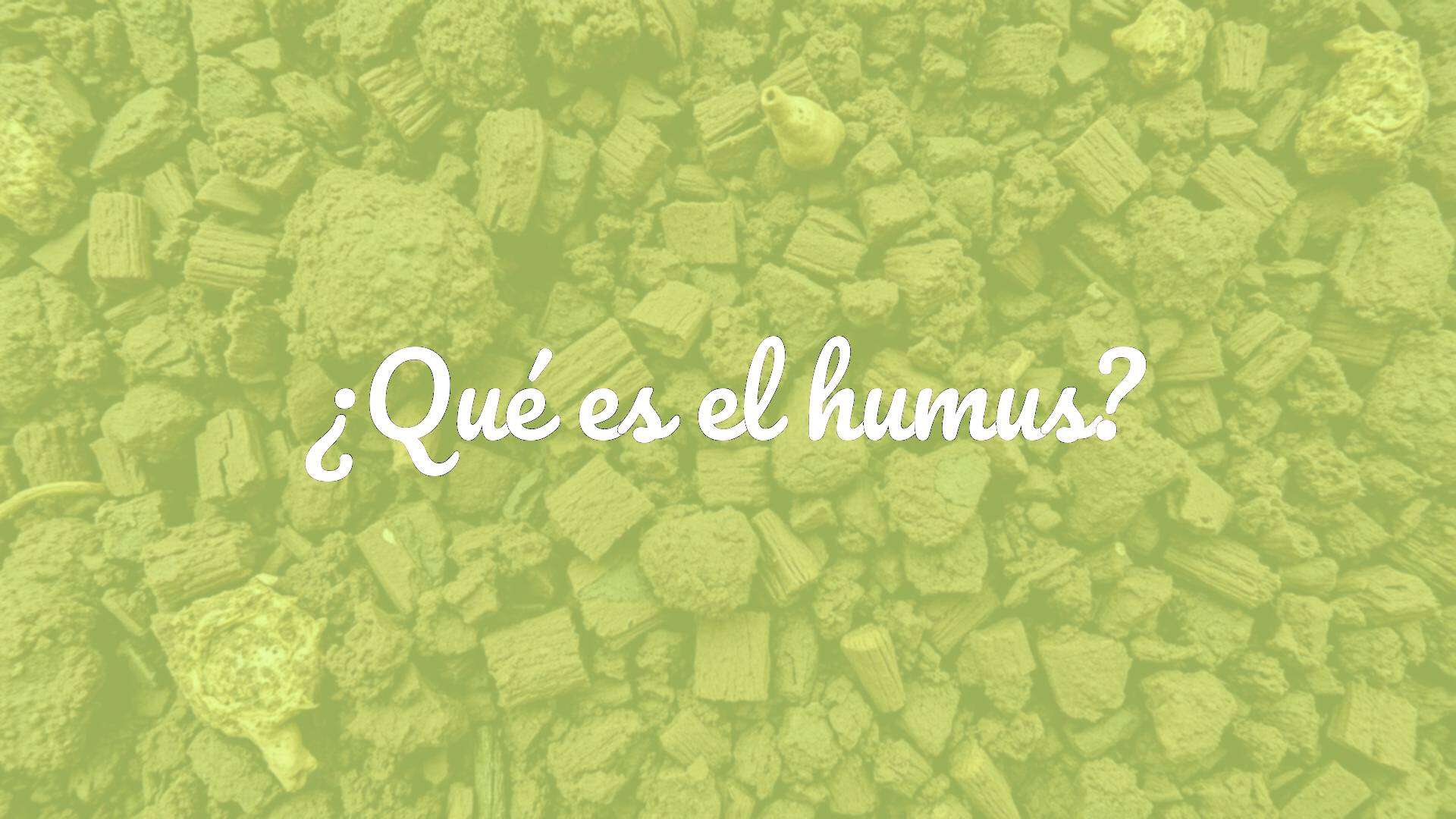 ¿Qué es el humus? - Nohomedesign
