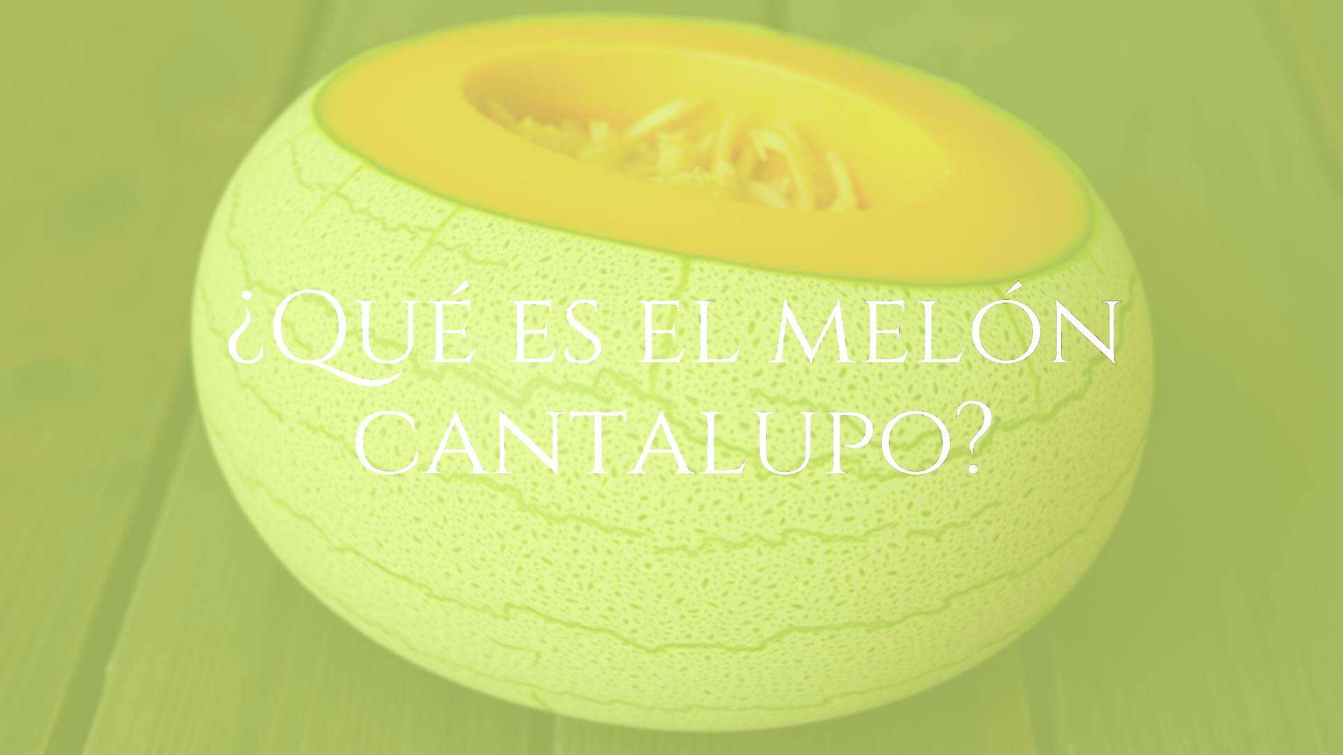 ¿Qué es el melón cantalupo? - Nohomedesign