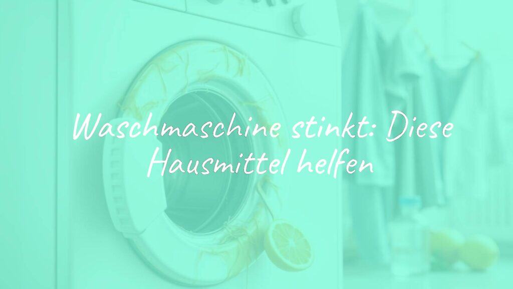 Spannende Waschmaschine Stinkt Hausmittel Bild